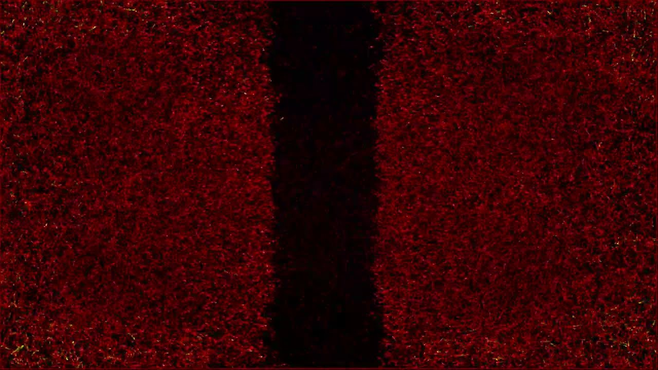 Getting Simba Ready for Public Release