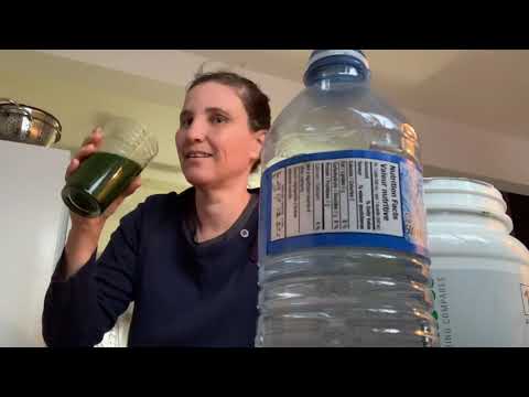 1st Phorm Opti-Greens and Reds 50 Review
