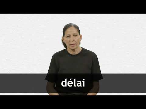 English Translation of “DÉLAI” | Collins French-English Dictionary