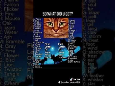 warrior cats name generator