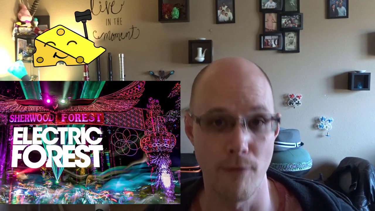 2019 Electric Forest Plug-In Programs