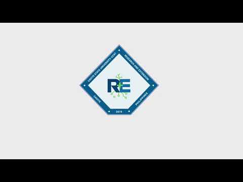 RE Logo Animation