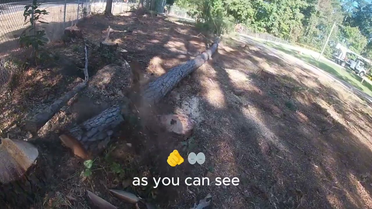 Tree Removal Kai Tutorial1