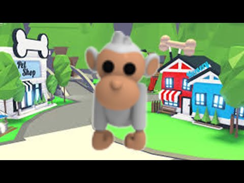 What's an Albino Monkey Worth!?!?!?!?
