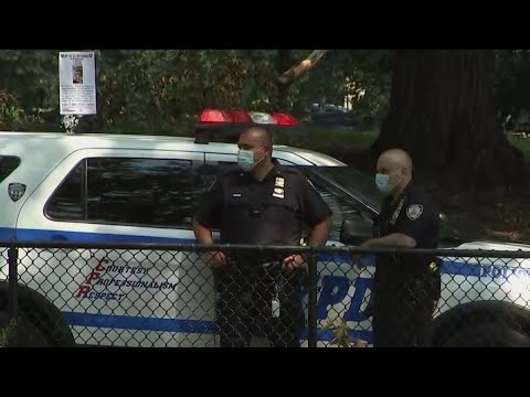 Man Playing Handball Killed By Stray Bullet as NYC Violence Continues | NBC New York
