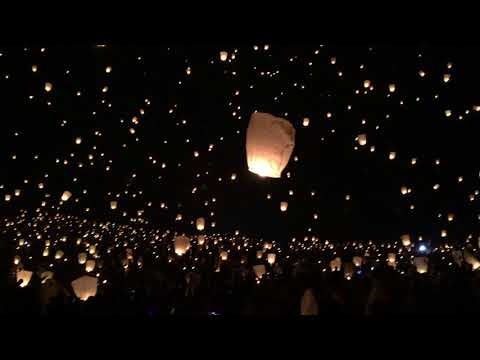 Video The Lights Festival Philadelphia Launch to Jeff Buckley Hallelujah