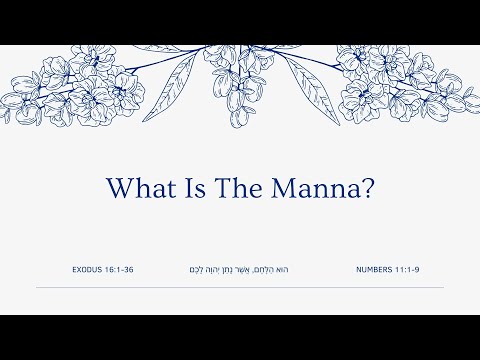 What Is The Manna?