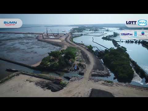 PT. WIJAYA KARYA (Persero) Tbk. DSU 3 Devisi 5.