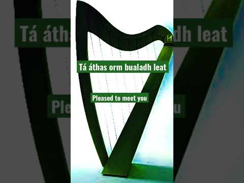 Tá áthas orm bualadh leat - Gaelic Irish Phrases