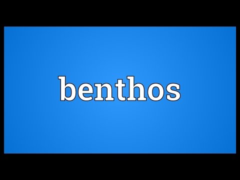 Benthos Meaning