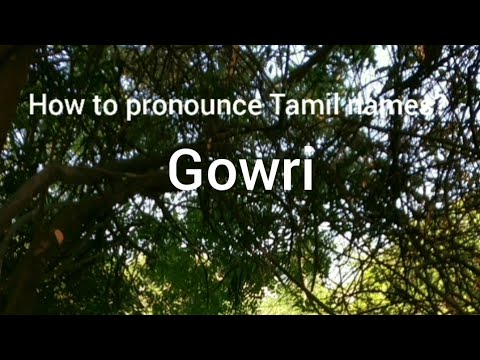 How to Pronounce Gowri