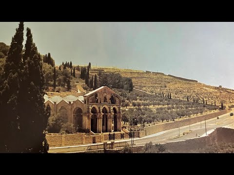 The ESV Bible reading: Exodus 30:1-38 and John 12:1-50