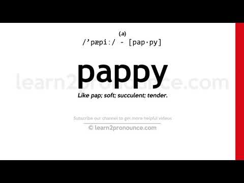Pronunciation of Pappy | Definition of Pappy