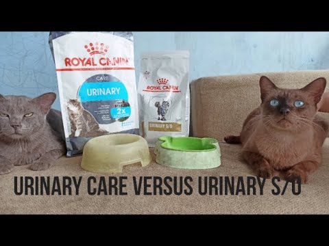 review perbedaan makanan kucing royal canin urinary CARE dan Royal canin urinary S/O