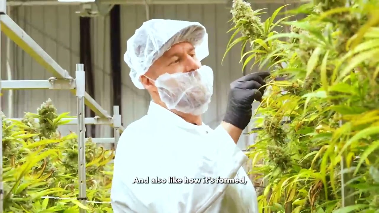 Finding Washers with Blue River Terps