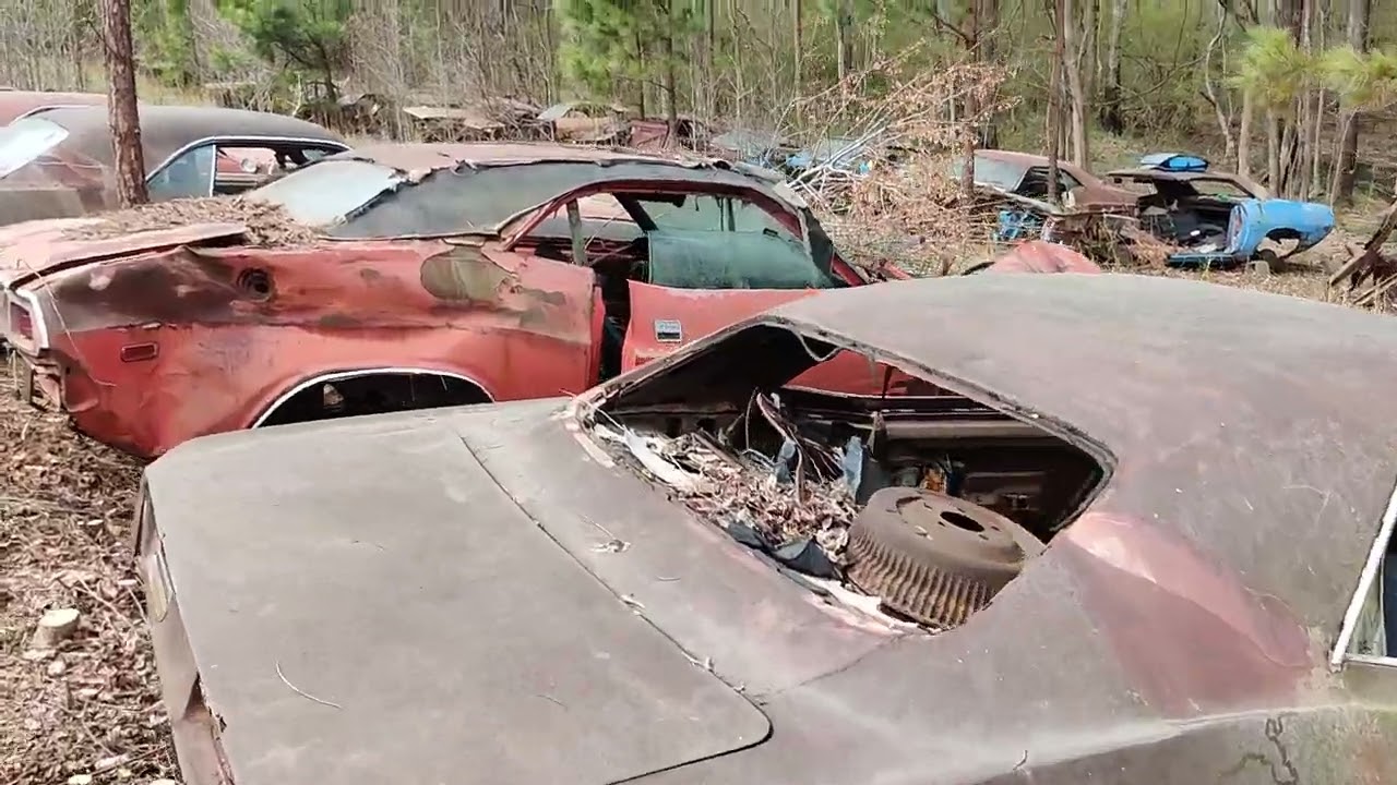 Mopar Junkyard Hidden in the Woods Is Dodge Challenger, Plymouth 'Cuda ...