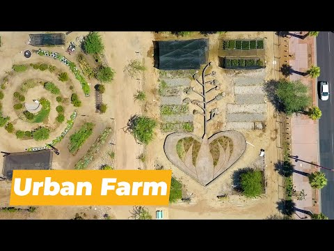 Agave Farms - How Urban Farming Benefits a Community