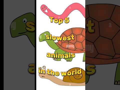 Top 5 Slowest Animals in the world 😱#shorts #shortvideo #top5facts #slowestanimals