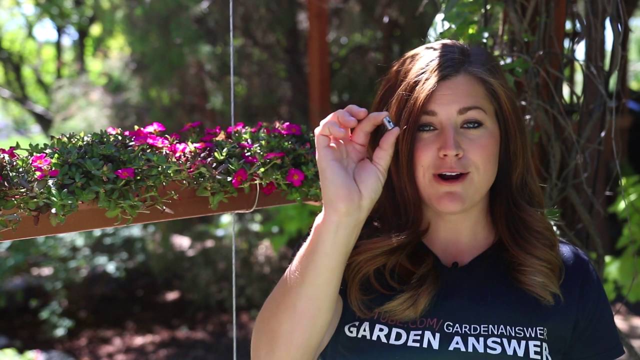 How to Make a Rain Gutter Planter for Succulents & Flowers | Proven Winners®