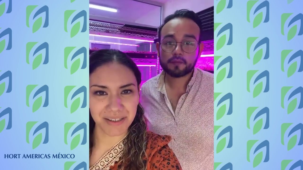 ¿Cuanta inversión inicial necesitamos para empezar nuestro cultivo de hongo?