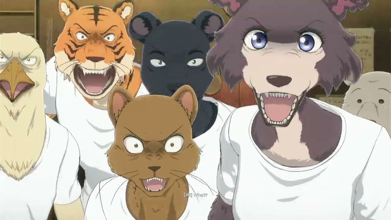 Pina being racist!! ( Beastars Season 2  - English Dub )