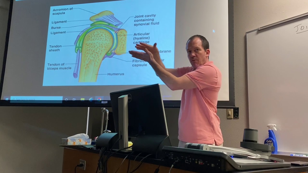 2401 Lecture Joints Chapter 9