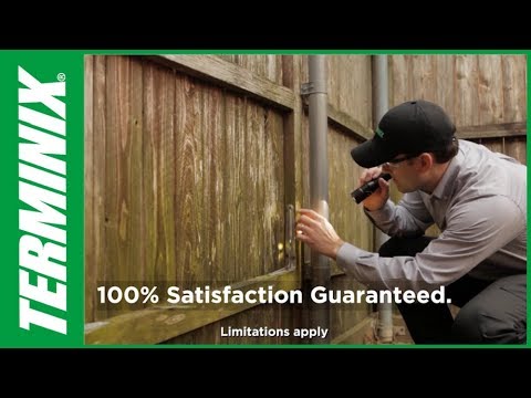 How Much Does Pest Control Cost? Get a Pest Control Estimate from Terminix