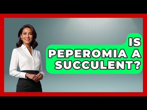 Is Peperomia A Succulent? - The Plant Enthusiast