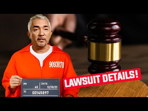 What happened to Cesar Millan from Dog Whisperer? Is He Going to Jail?
