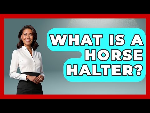 What Is A Horse Halter? - The Horses Stable