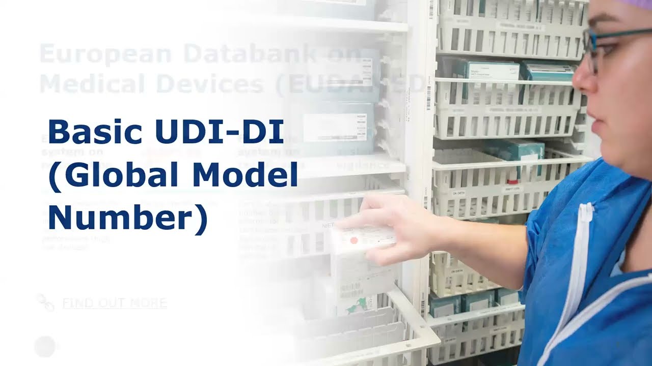 4. The Basic UDI-DI (GMN)