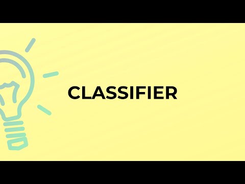 What is the meaning of the word CLASSIFIER?
