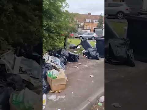 'Unacceptable' fly-tipping dumped just one mile from council tip