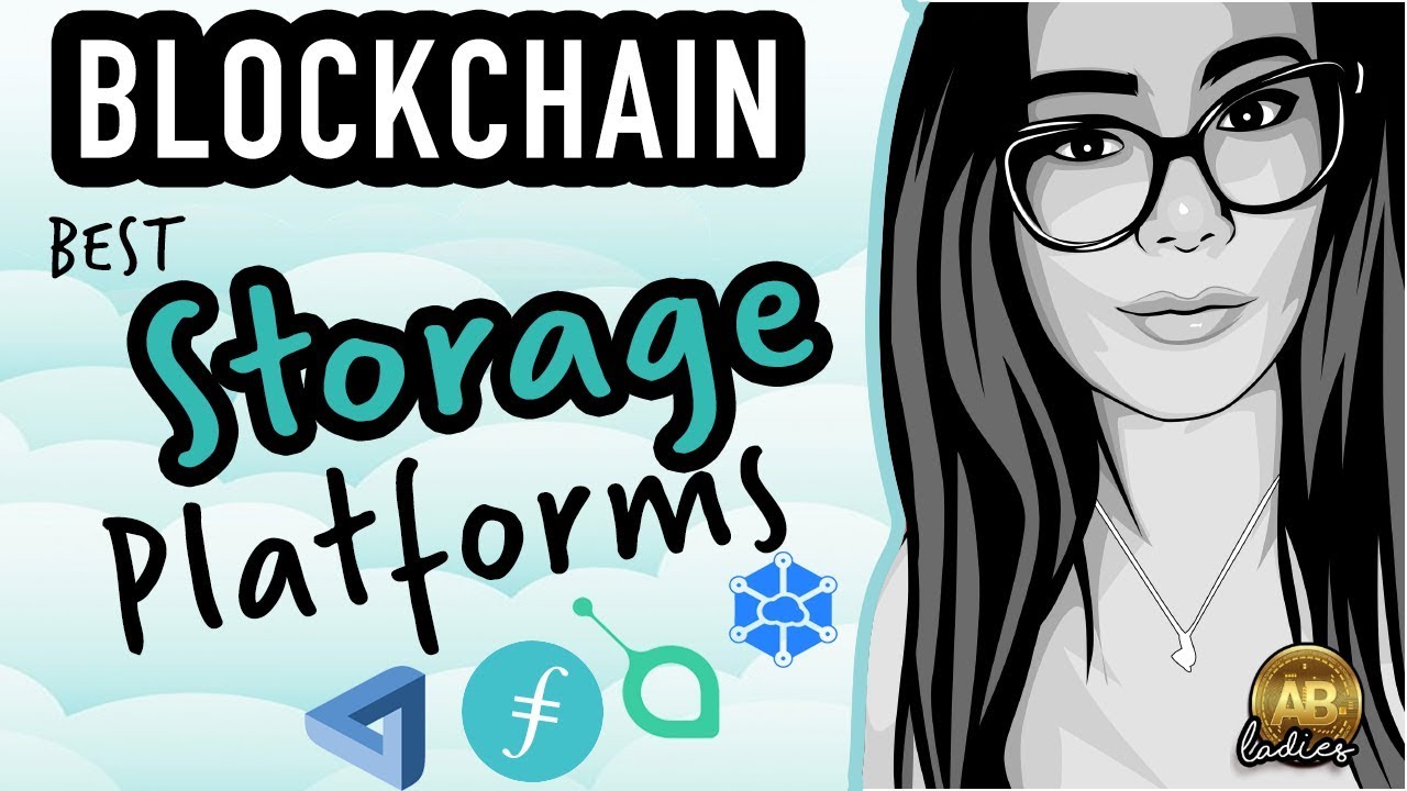 Decentralised Storage Solutions on the Blockchain