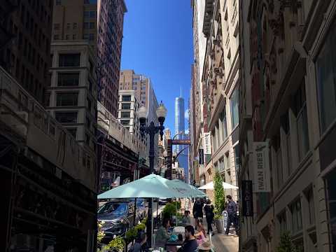 Downtown Chicago Train on Loop #Cta #train #chicago #downtown #trumptower
