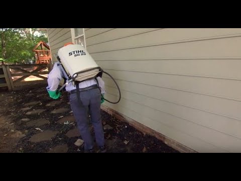 Proper Backpack Sprayer Application For An Insecticide