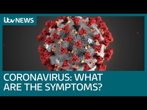 What is the strain of coronavirus known as Covid-19 and what are the symptoms? | ITV News
