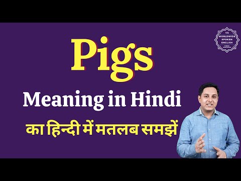 Pigs meaning in Hindi | Pigs ka matlab kya hota hai | English vocabulary words