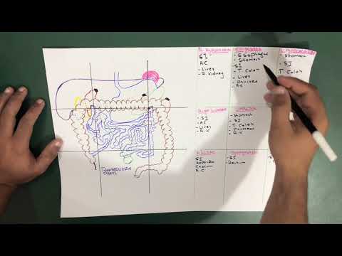 Structures present in 9 Abdominal Regions | Abdomen | Part 4 (Anatomy)