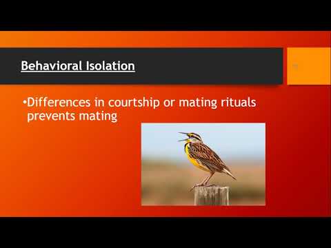 Reproductive Isolation