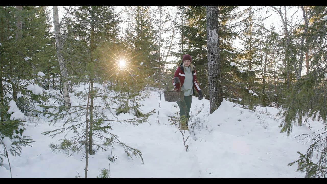 The Norwegian Food Culture by North Wild Kitchen
