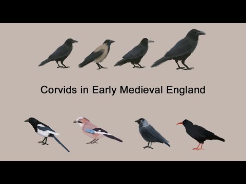 Simon Roper ~ Crows and Corvids in Early Medieval England. – Daniel ...