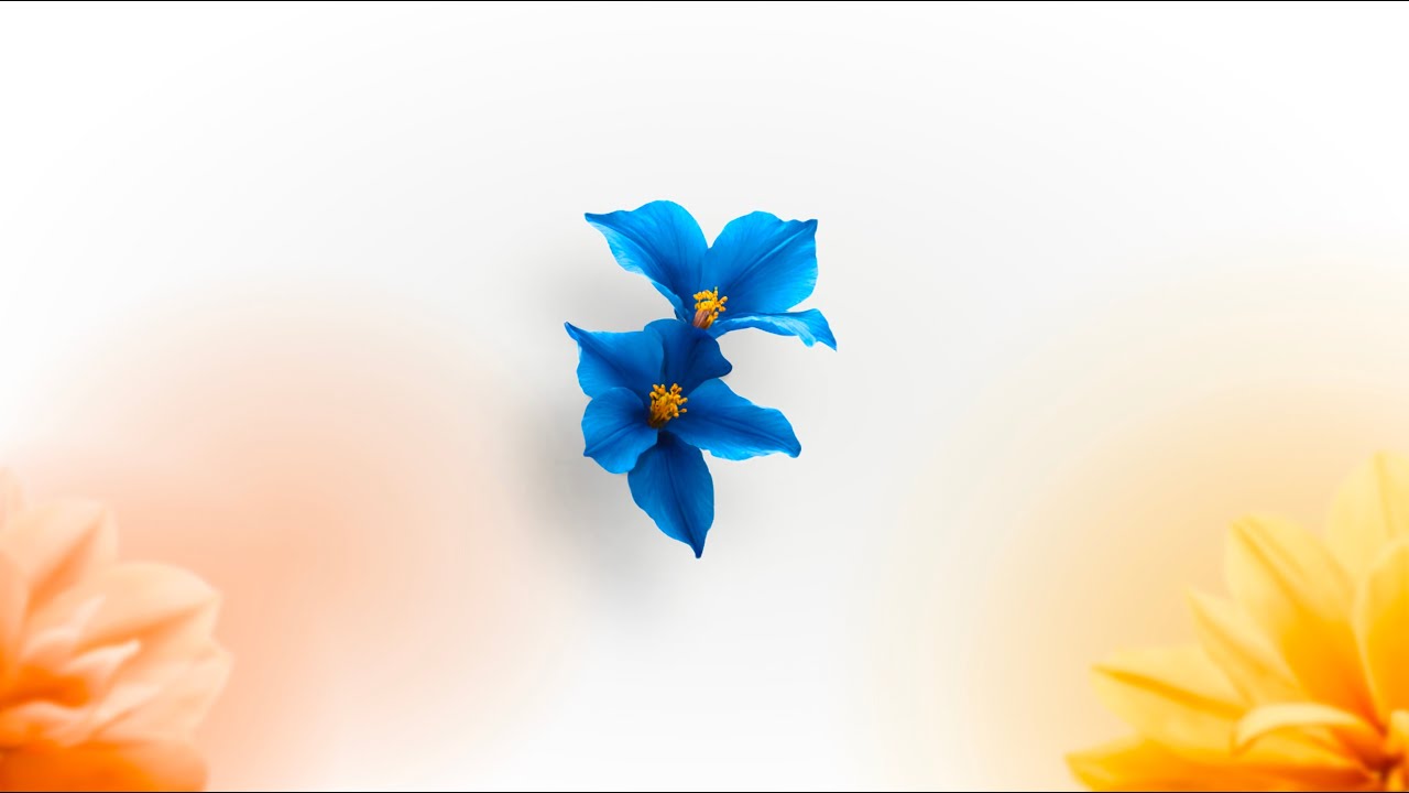 Framer Event — Spring 2024, Introducing 3D Transforms, and a sneak peek at Plugins