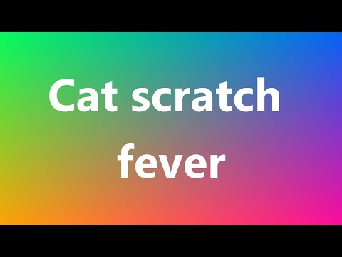 Cat scratch fever - Medical Definition and Pronunciation