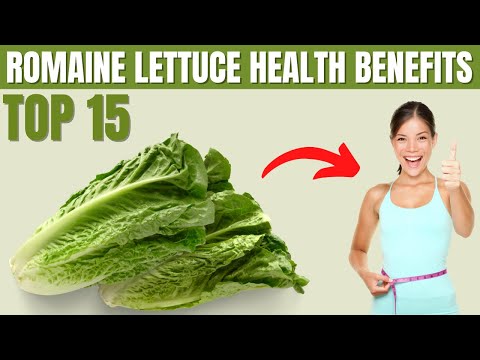 Romaine Lettuce Benefits | 15 Amazing Health Benefits of Romaine Lettuce
