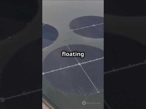 How 🤔 Do Floating Solar Panels Work? 🌞💧#FloatingSolarPanels #Floatovoltaics #RenewableEnergy #facts