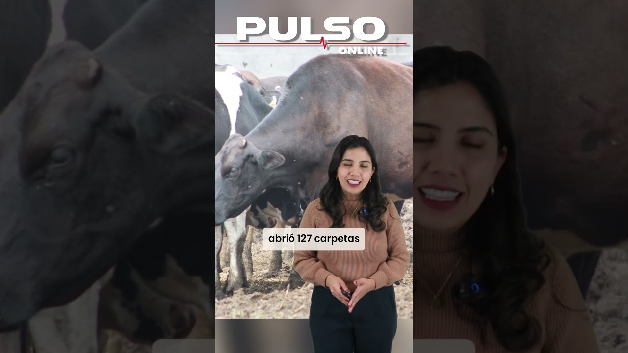 Authorities warn of cattle theft in San Luis Potosí: they urge continued reporting.