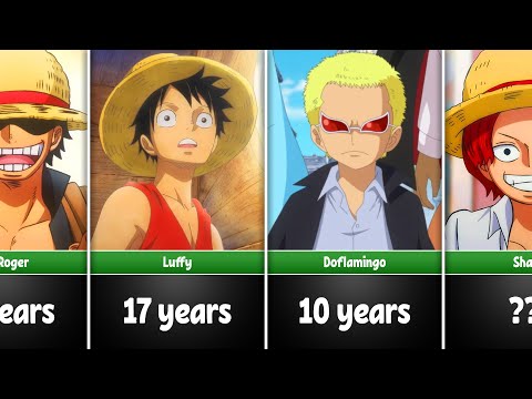 What Age did One Piece Characters Become Pirates ?