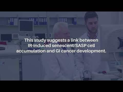 Senolytic ABT-263 Reduces Radiation-Induced Gastrointestinal Cancer in Apc1638N/+ Mice | Aging-US