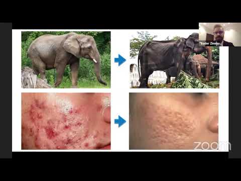 Dermatology for Non-dermatologists (First Day)